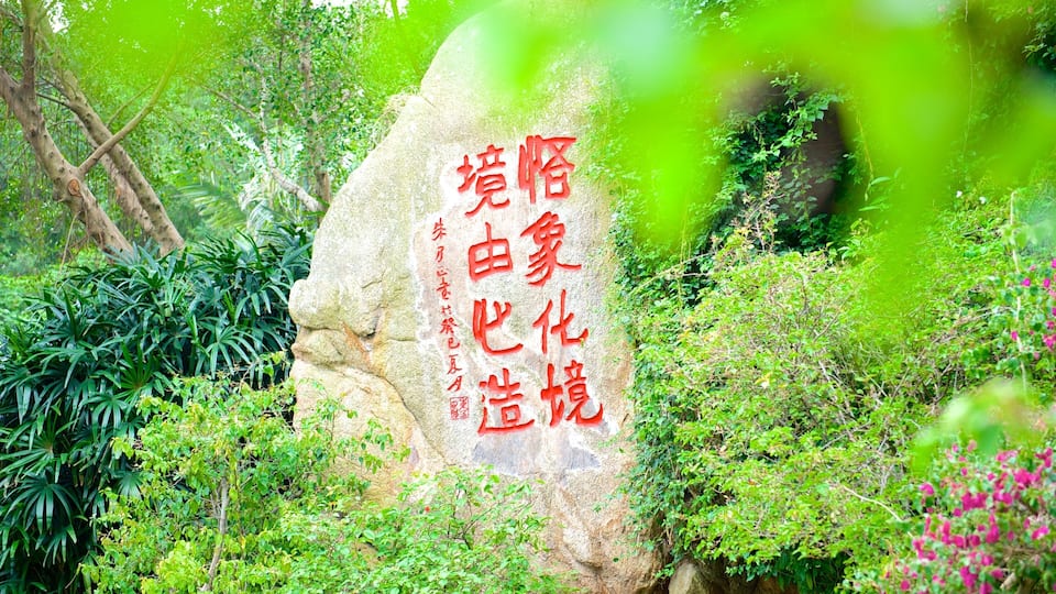 Wanshi Botanical Garden showing a garden, flowers and wildflowers