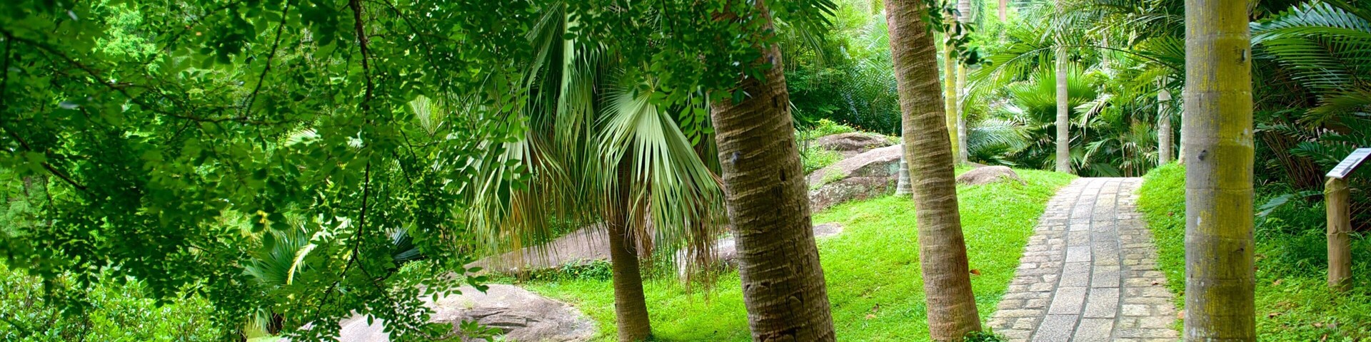 Jardim Botânico de Wanshi que inclui um jardim