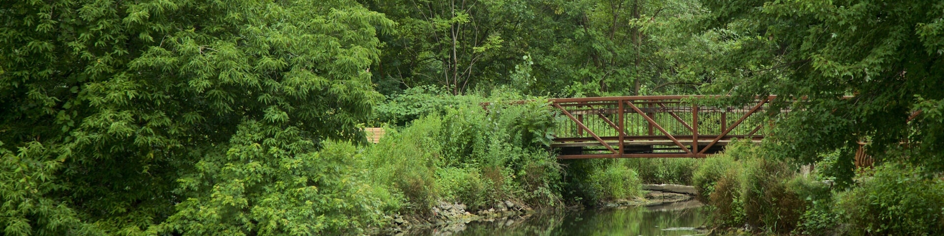 Old Erie Canal Historic State Park showing a river or creek and a bridge