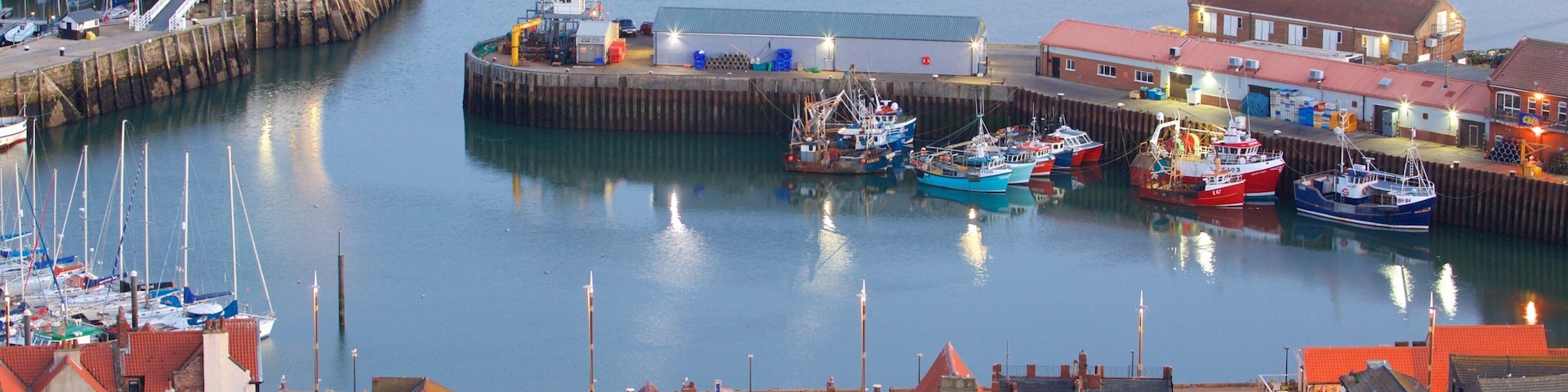 South Bay Beach mostrando uma baía ou porto e uma cidade litorânea