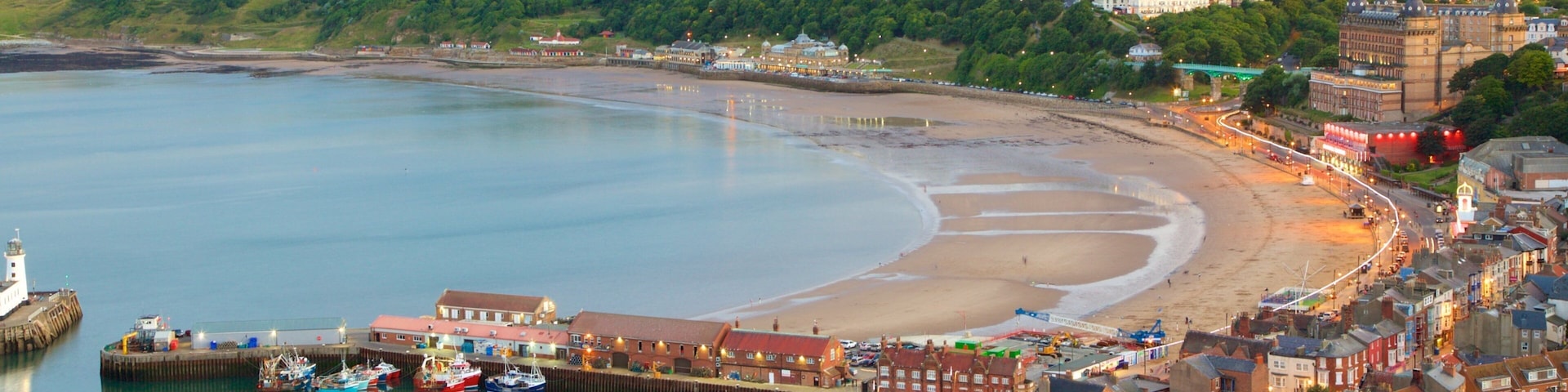 South Bay Beach que inclui uma praia de areia e uma cidade litorânea
