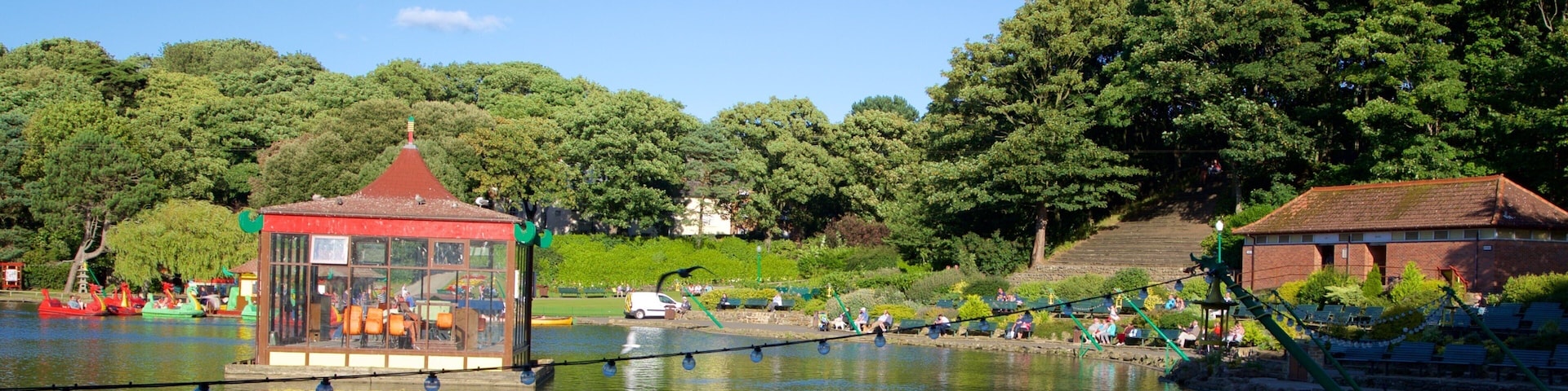 Peasholm Park caracterizando um rio ou córrego e um jardim