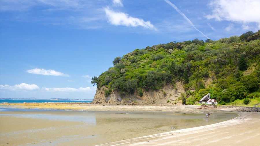 Waiwera showing rocky coastline, a bay or harbor and a beach