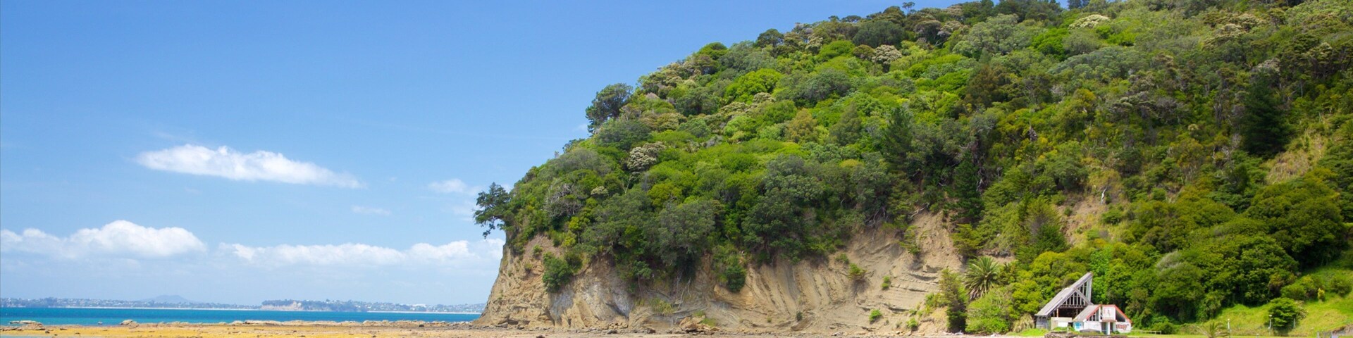 Waiwera showing rocky coastline, a bay or harbor and a beach