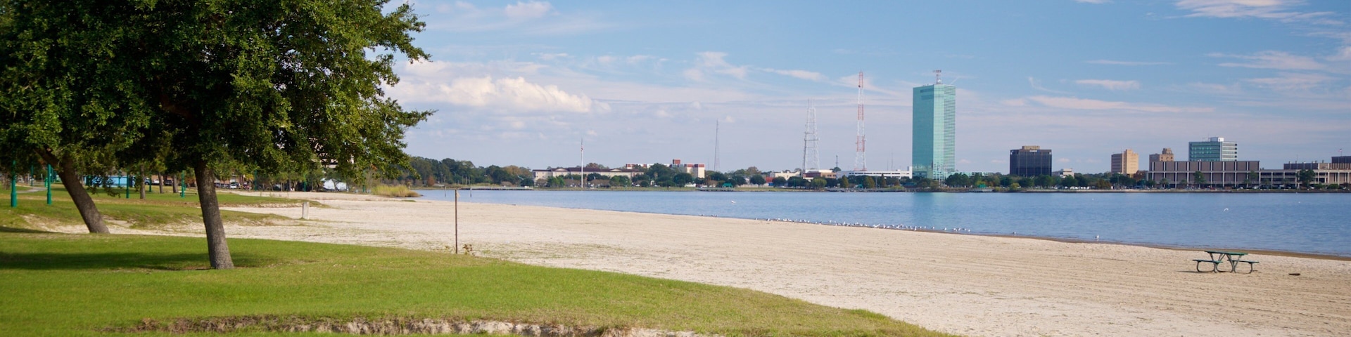 Um parque à beira-rio com uma praia de areia, uma árvore grande e o horizonte da cidade ao fundo.