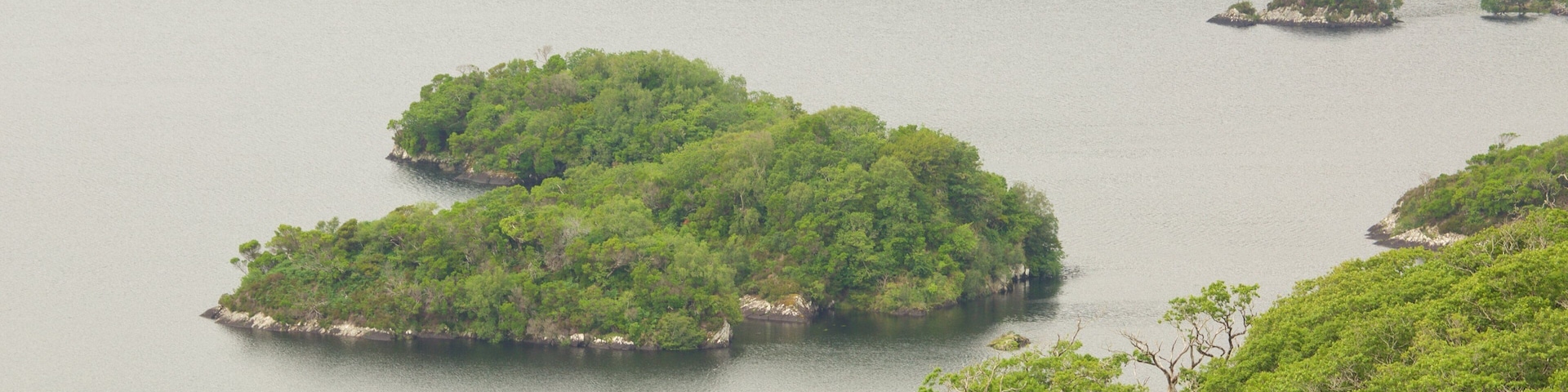 Ladies View which includes tranquil scenes and a lake or waterhole