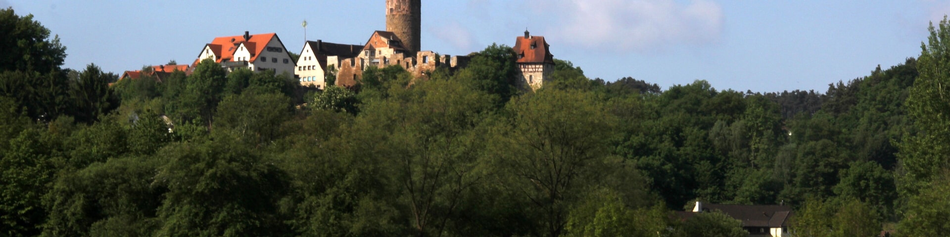 Burg Thann (Burgthann)