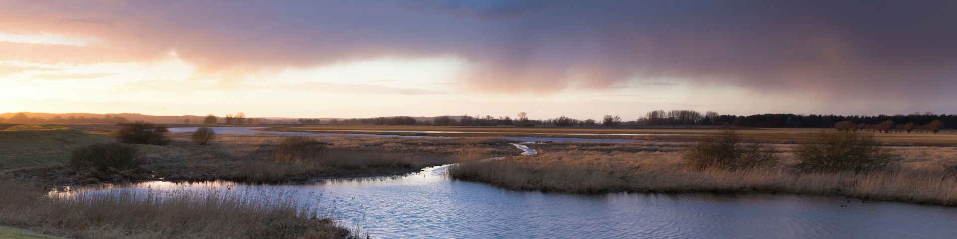 Taube Elbe bei Penkefitz mit Blick nach Westen