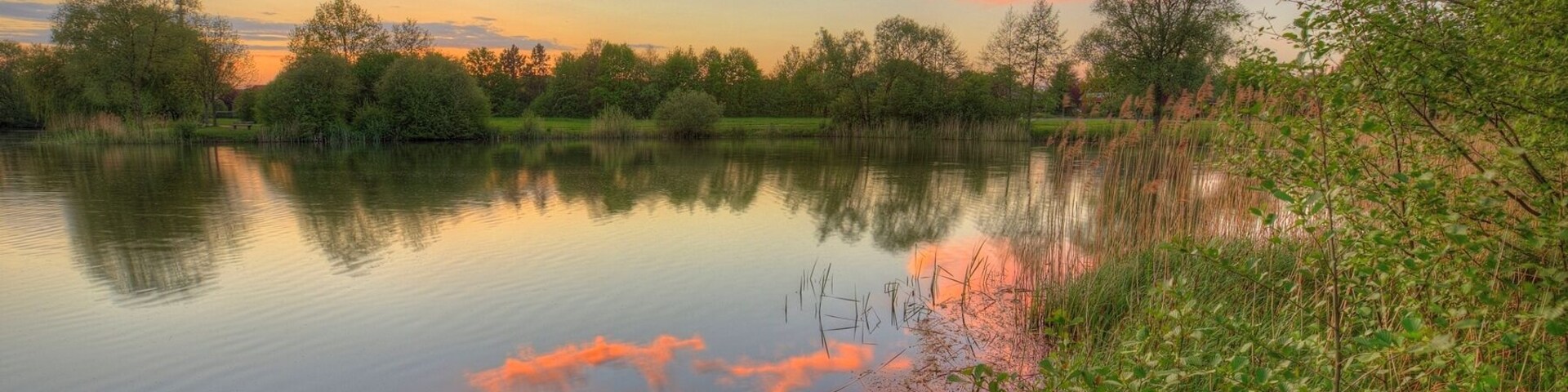 Um lago tranquilo refletindo árvores e um céu ao pôr do sol.