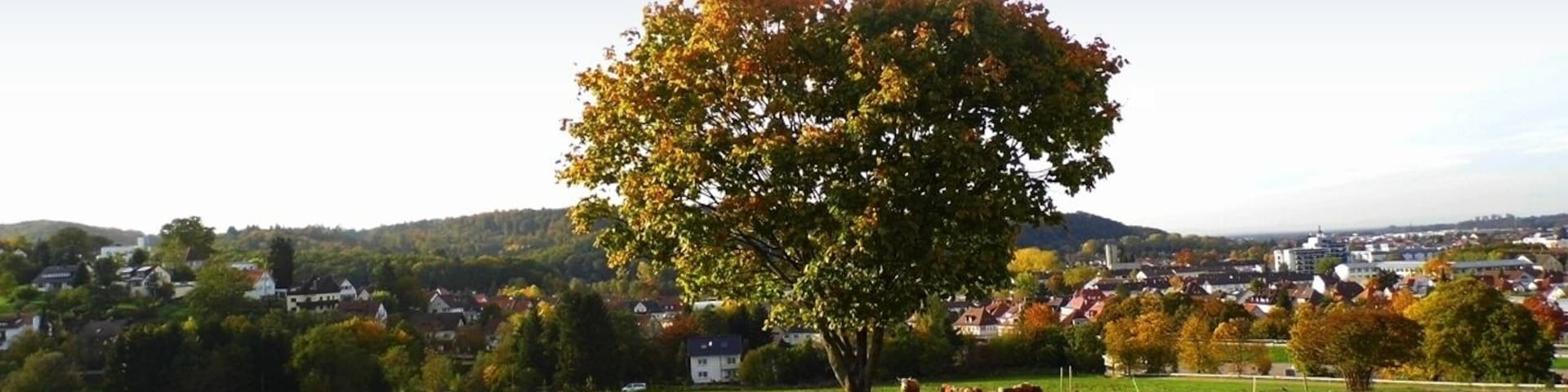 Gaggenau - im Nordschwarzwald