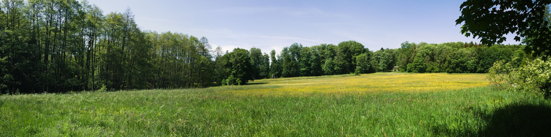 This is a picture of the protected area listed at WDPA under the ID