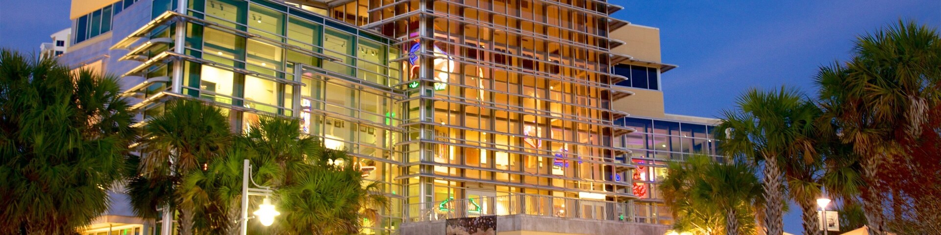 Tampa Bay History Center showing night scenes and signage