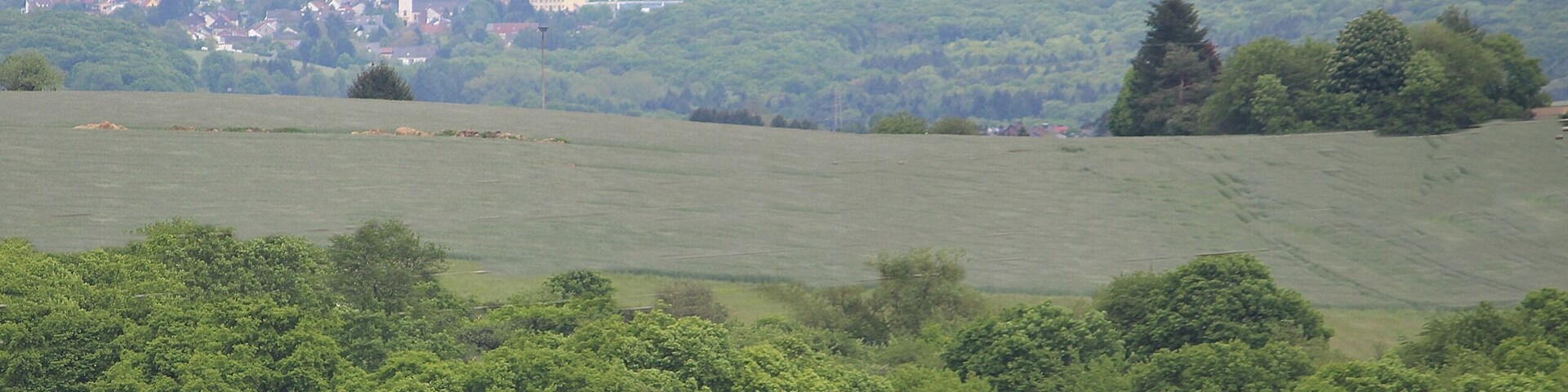 Köllerbach (Püttlingen), view to the village Holz
