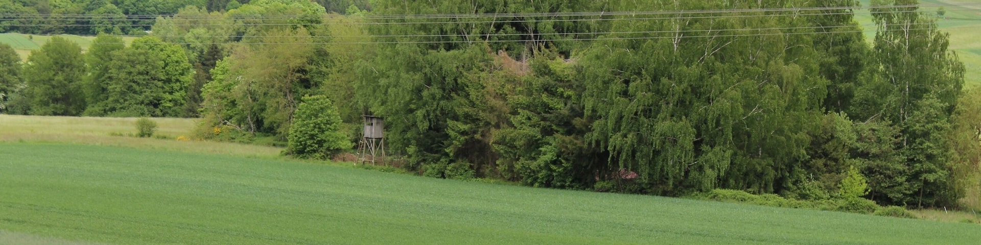 Köllerbach (Püttlingen), landscape eastern of the town
