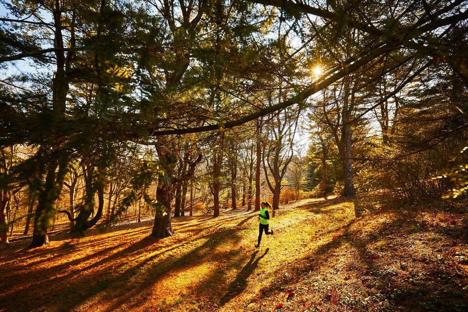 Uma pessoa correndo por uma floresta, com a luz do sol filtrando entre as árvores.