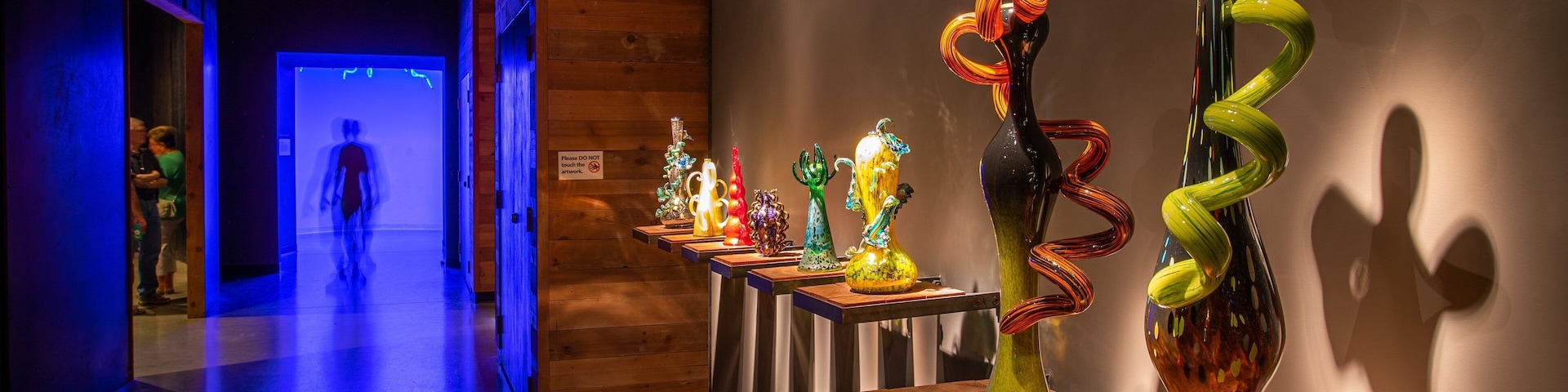 Chihuly Collection showing interior views and art