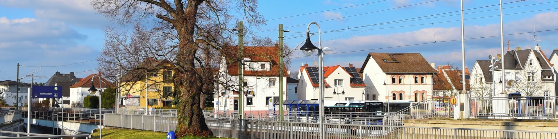 Winterlinde am Obertshausen am Bahnhof in Obertshausen, Kreis Offenbach