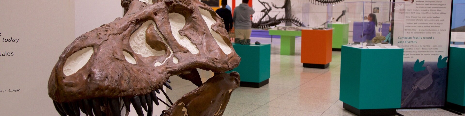 New Jersey State Museum featuring interior views