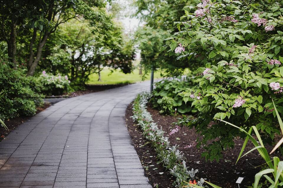 Um caminho pavimentado serpenteia por um jardim exuberante, com arbustos floridos e folhagem densa.