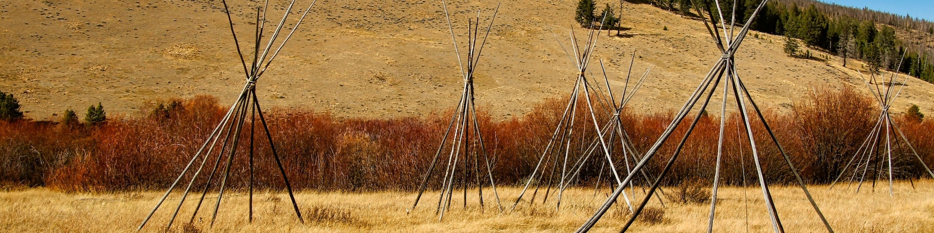 Um campo gramado com várias estruturas em forma de tipi e uma colina arborizada ao fundo.