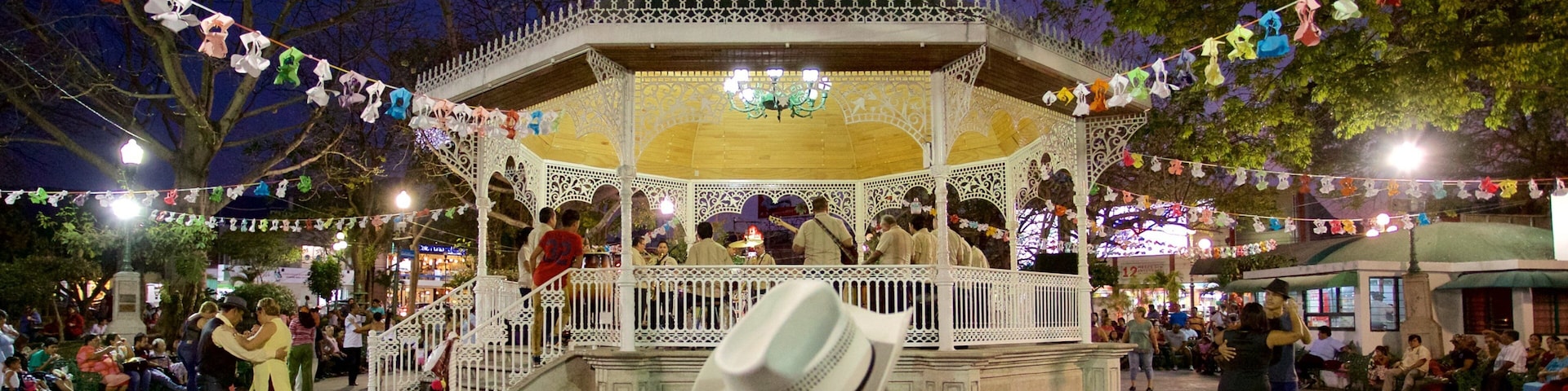 Parque de la Marimba mostrando música, performance de rua e cenas noturnas
