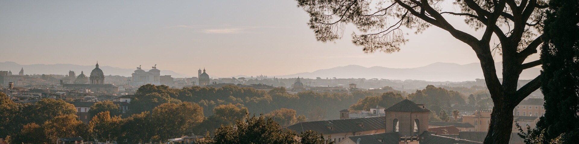 Paisagem urbana com uma árvore em destaque no primeiro plano, céu claro e montanhas ao longe.