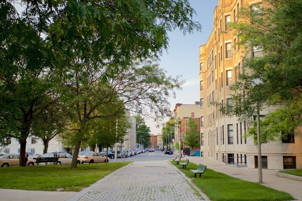 Rua urbana arborizada com carros estacionados e bancos.