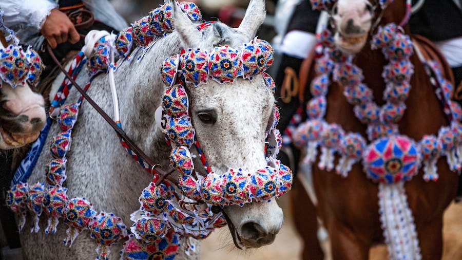 Feira Internacional da Sardenha