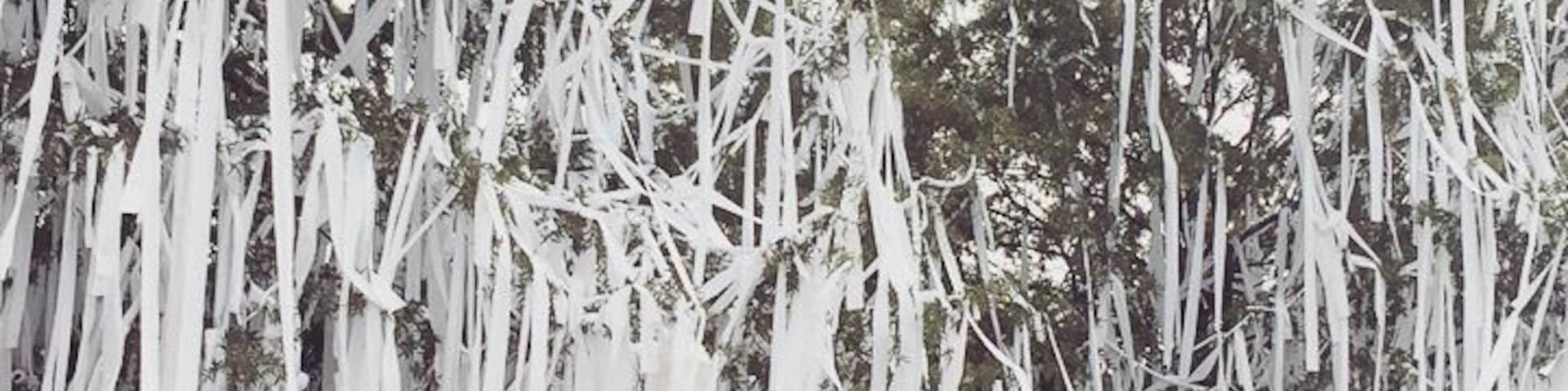 We Win!! Such a fun tradition of rolling the trees after a victory