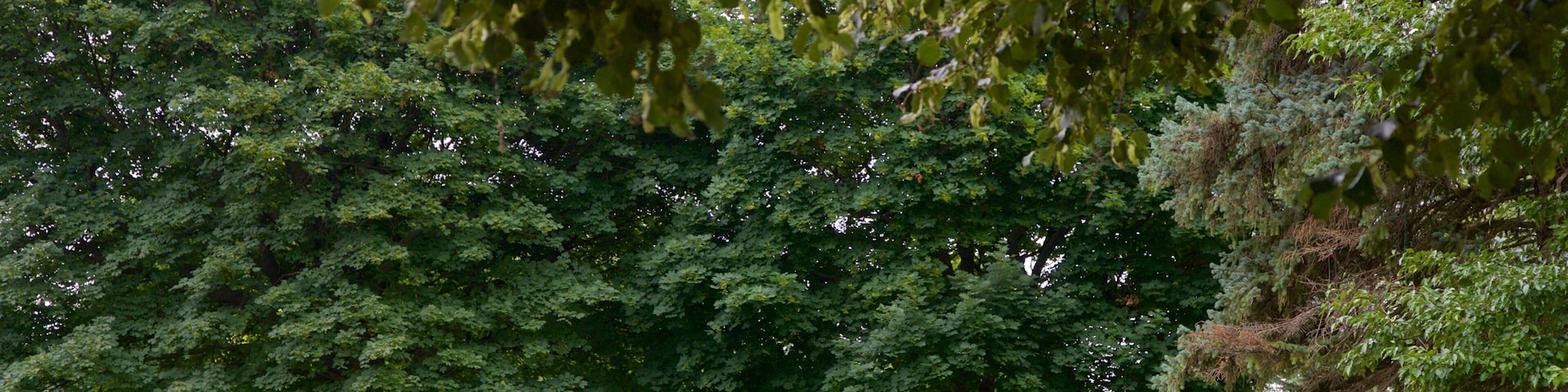 Onondaga Lake Park which includes a garden