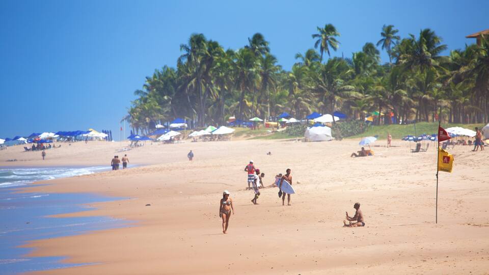 Salvador featuring general coastal views, tropical scenes and a sandy beach