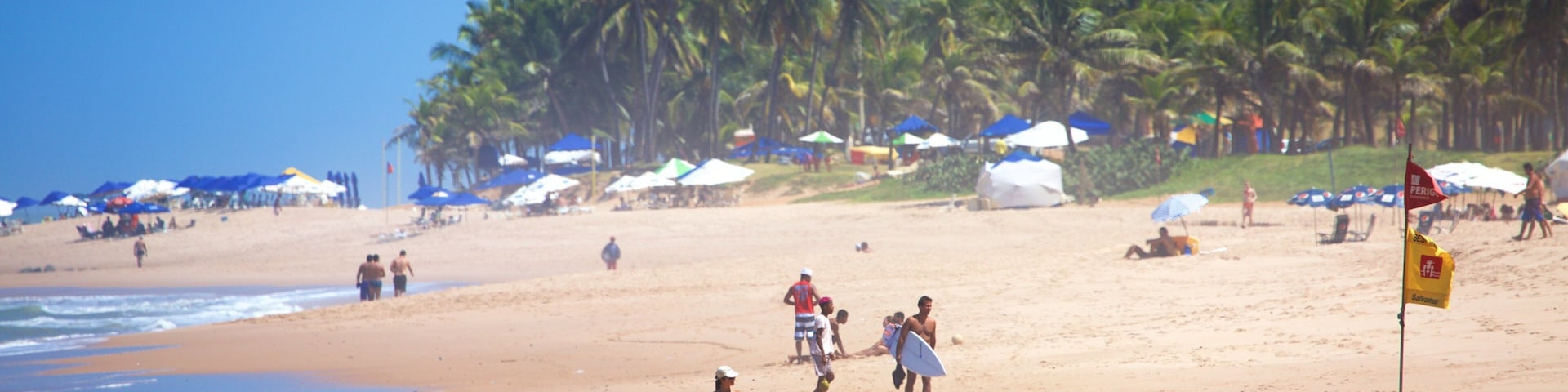 Flamengo Beach caracterizando uma praia de areia, cenas tropicais e paisagens litorâneas