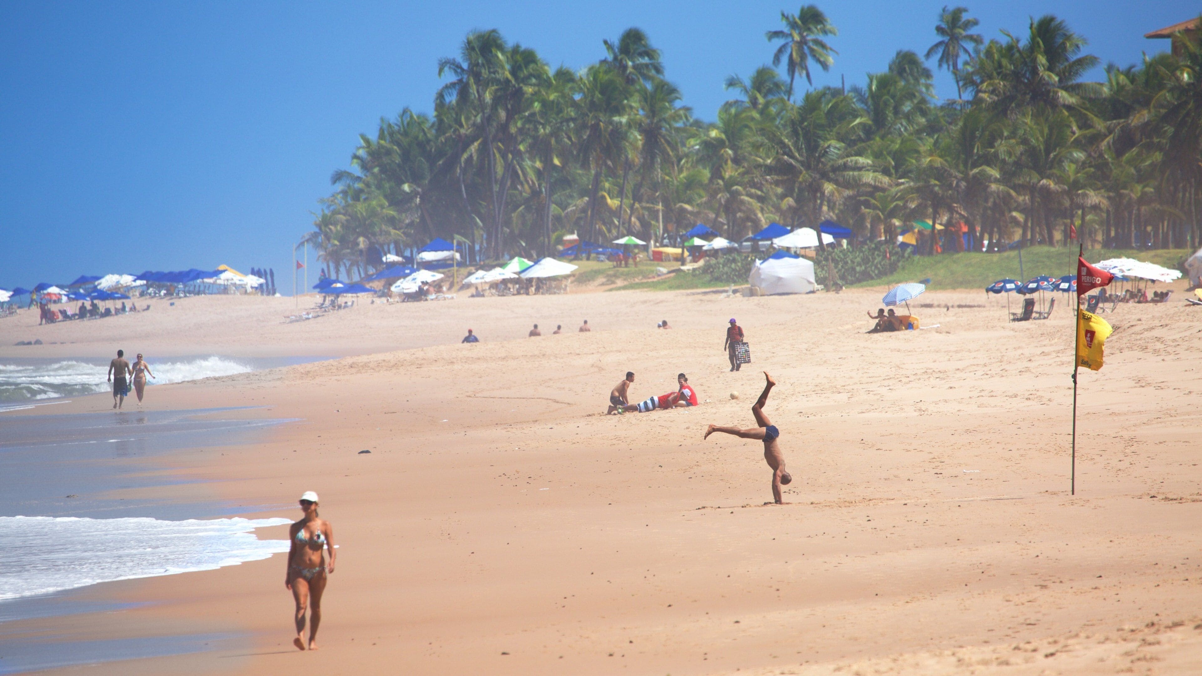 Salvador showing a beach, general coastal views and tropical scenes