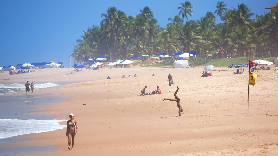 Salvador showing a beach, general coastal views and tropical scenes
