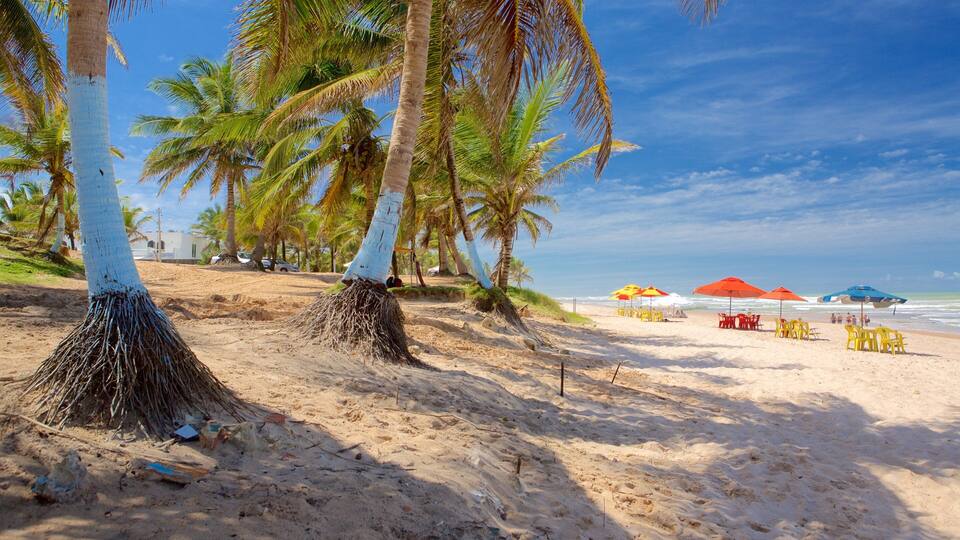 Flamengo Beach showing general coastal views, tropical scenes and a sandy beach
