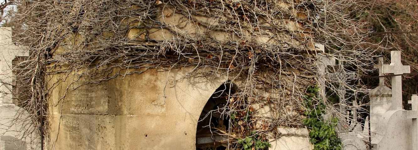 An overgrown tomb in the Saint-Pierre cemetery in Marseille, France.