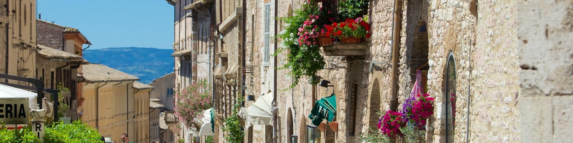 Via San Francesco featuring a coastal town, flowers and a small town or village