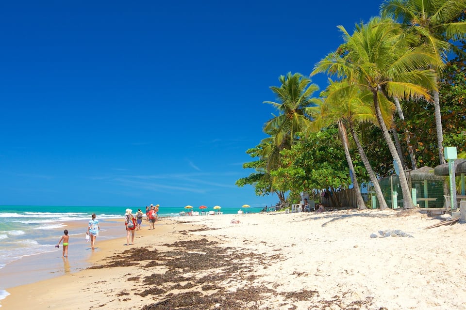 Uma praia com palmeiras, pessoas caminhando e guarda-sóis.