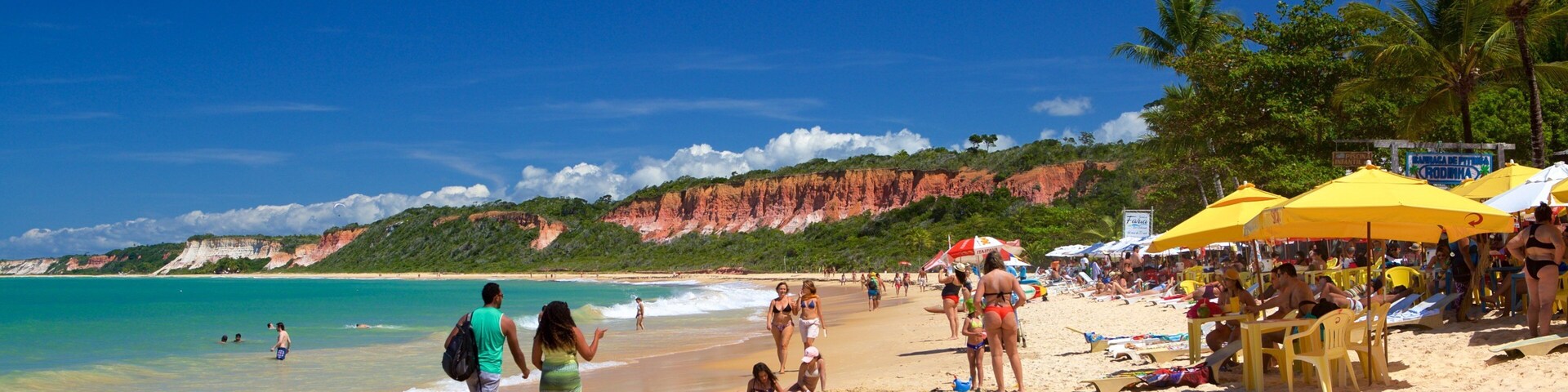 Pitinga Beach featuring general coastal views, tropical scenes and a beach