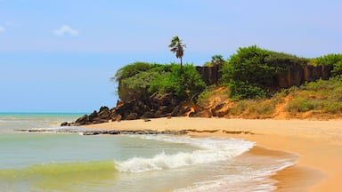 São Miguel do Gostoso
