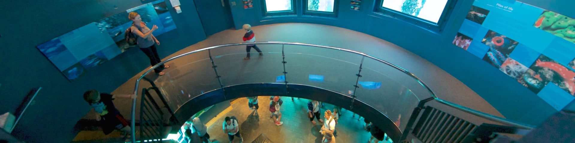 Busselton Jetty Underwater Observatory which includes interior views