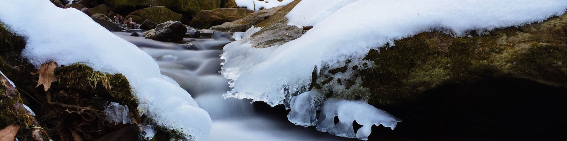 Little frozen creek #snow #tylerstatepark #buckscounty #nature #creek #stateparks #park