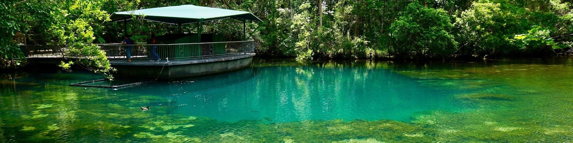 Real encounter with Mother Nature.