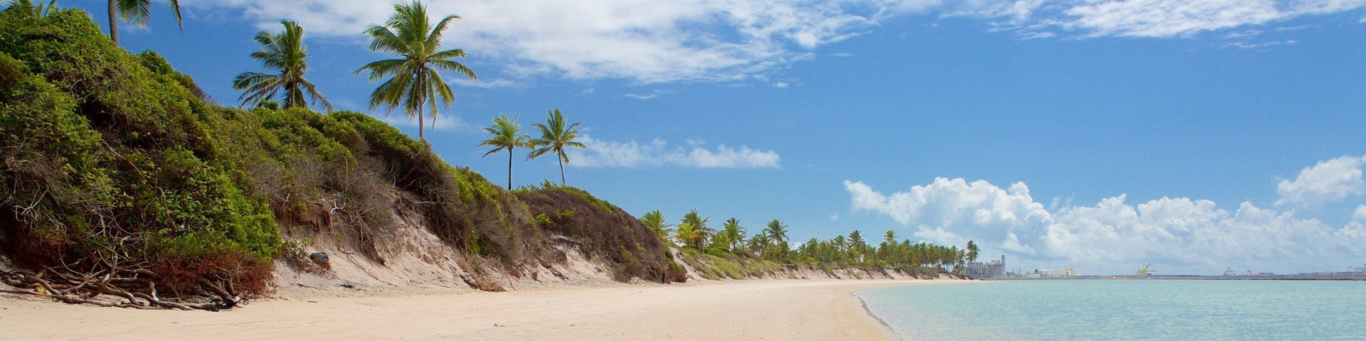 Ipojuca showing general coastal views, tropical scenes and a beach