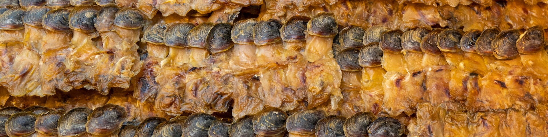 Close-up de peixe seco com escamas e textura dourada.