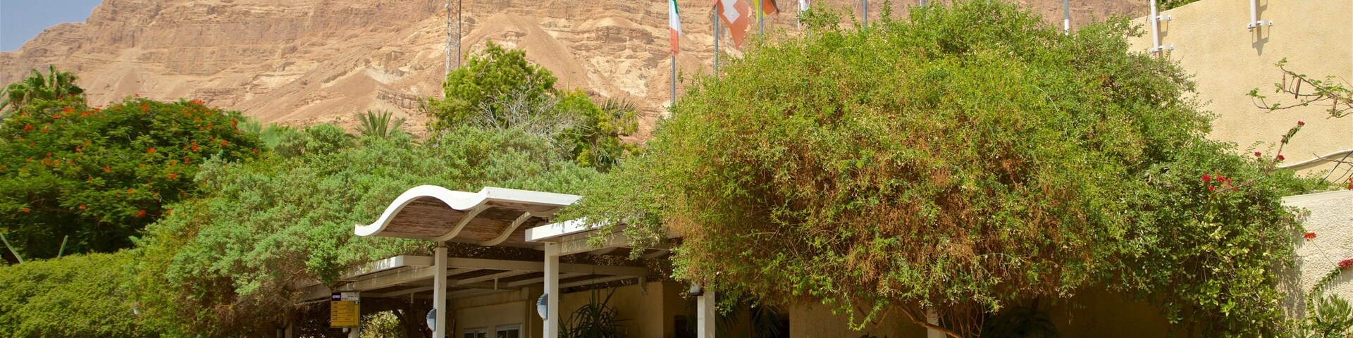 Ein Gedi Botanical Garden caracterizando montanhas