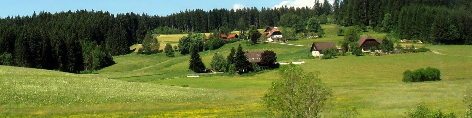 St. Georgen im Schwarzwald, Unterm Wald, Blick aus der Schwarzwaldbahn
