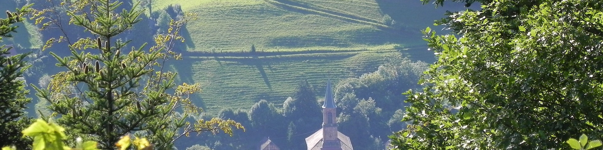 L'église Saint Louis