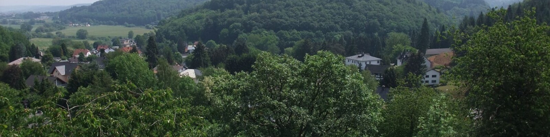 Blick vom Schloss Braunfels nach Nordwesten auf die Gemeinde Leun