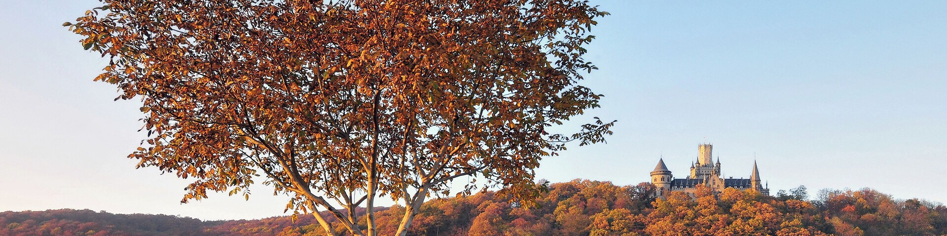 Mountain Marienberg and the Marienburg Castle in autumn. Marienburg Castle is a famous German castle in the Region Hanover, Lower Saxony, Germany, built by Marie of Saxe-Altenburg, Queen of Hanover. The castle mustn't be confused with the Marienburg near Hildesheim. The October is in Germany a sunny and colorful time with autumn leaf color, therefore Germans name the October "Goldener Oktober" (golden October). The image is made on 31. October. This is in Germany mostly the last day with Autumn leaf color. On this day the colouring is already brownish before the leaves fall.